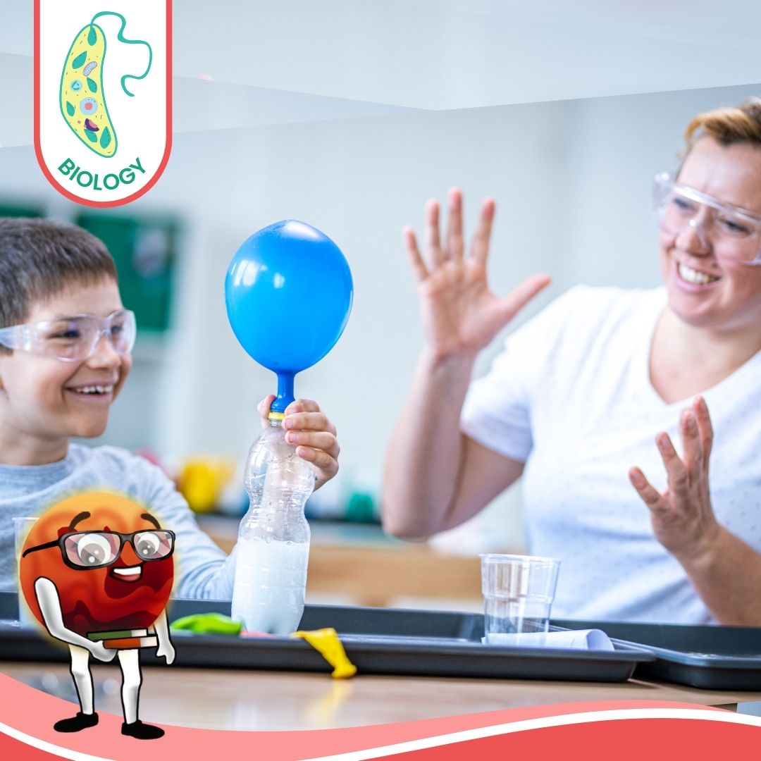 STEAM Project Center – Brainsteam Education